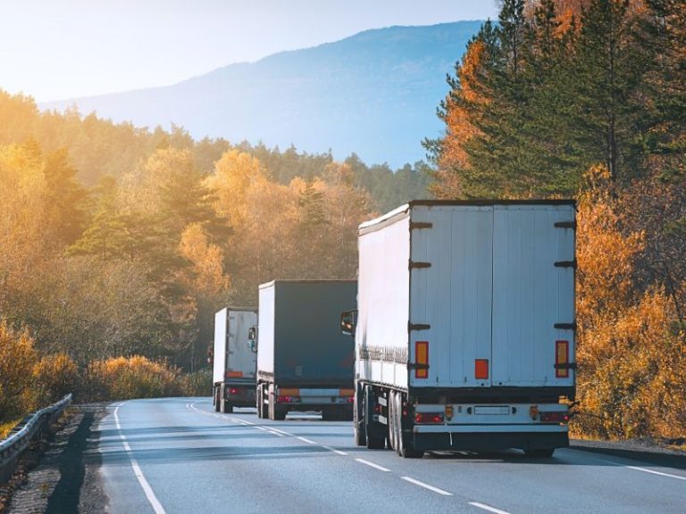 Road Freight Process: 5 Main Steps Involved | Zip Logistics