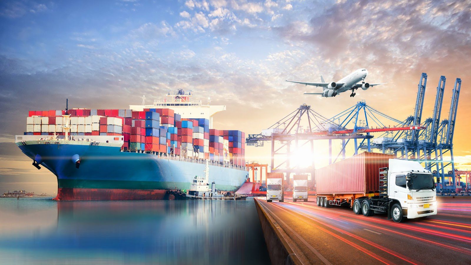 Exploring Different Types of Sea Freight | Zip Logistics