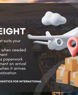 Licensed Freight Forwarder Company in Miami | Zip Logistics